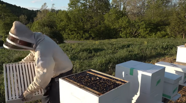 Understanding The Amish religious beliefs - Amish Furniture Factory