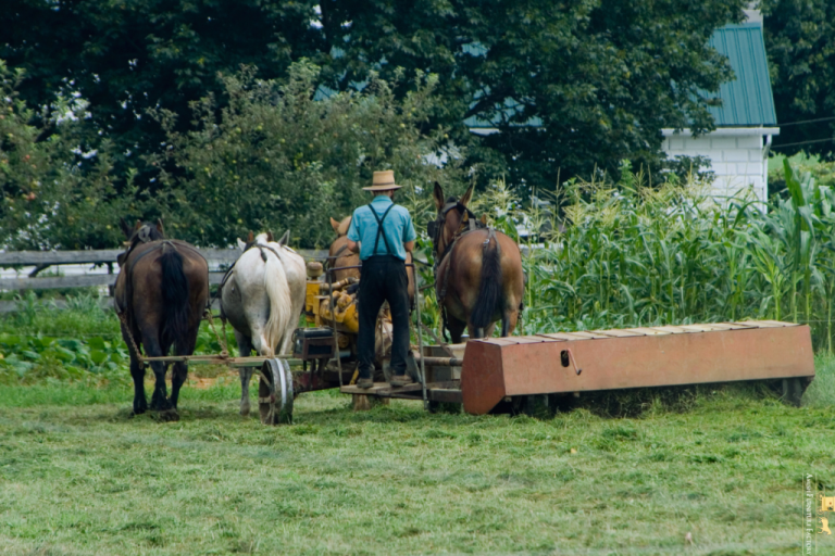 How an Amish Bishop is Chosen in the Amish Community