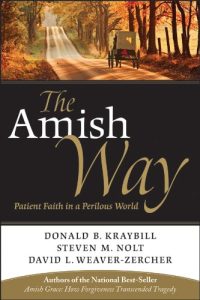 Top 8 Recommended Amish Books To Read - Amish Furniture Factory Amish ...