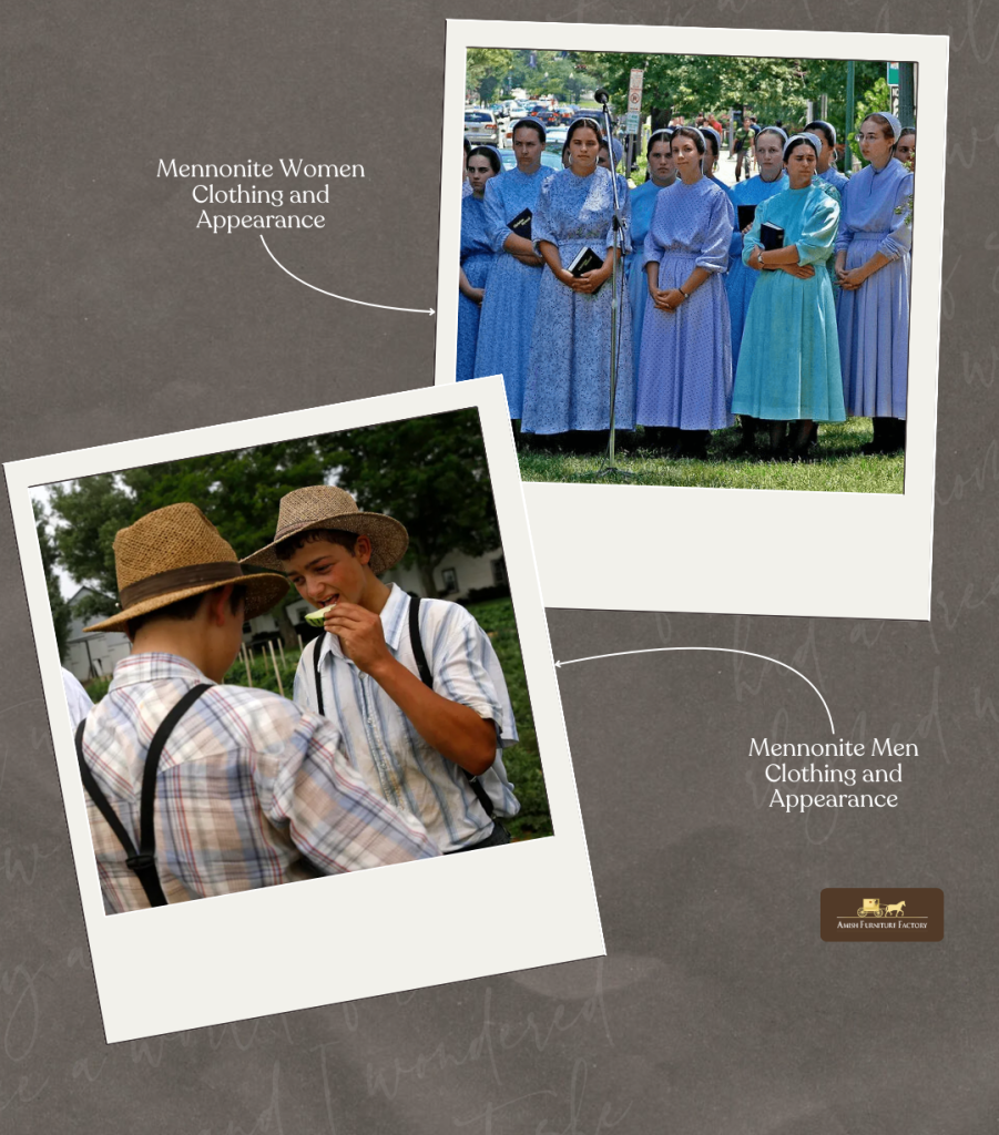 The Ultimate List of Differences Between Amish and Mennonites - Amish ...