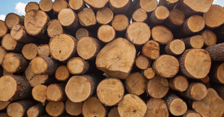 Cherry vs. Walnut: Choosing the Right Wood for Your Furniture - Amish ...