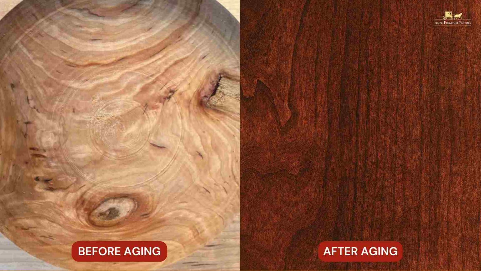 Exploring the Characteristics and Properties of Cherry Wood