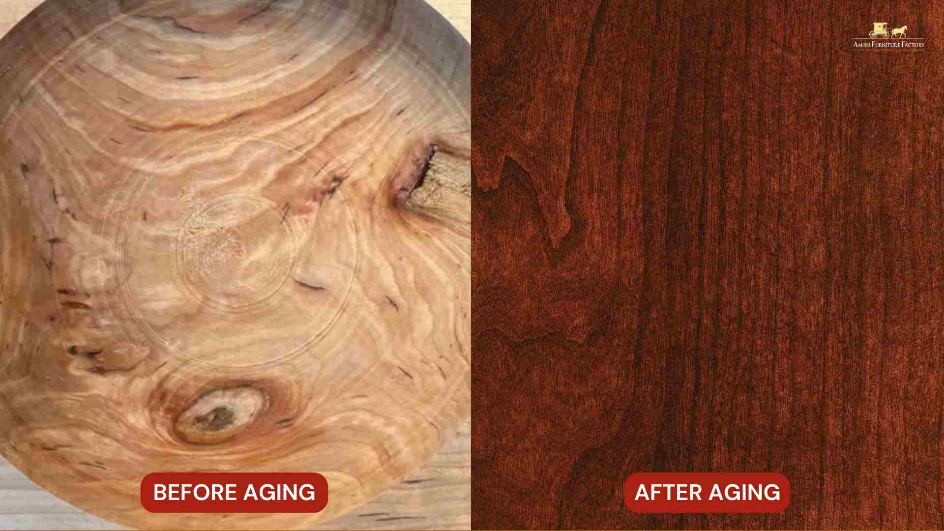 Exploring the Characteristics and Properties of Cherry Wood