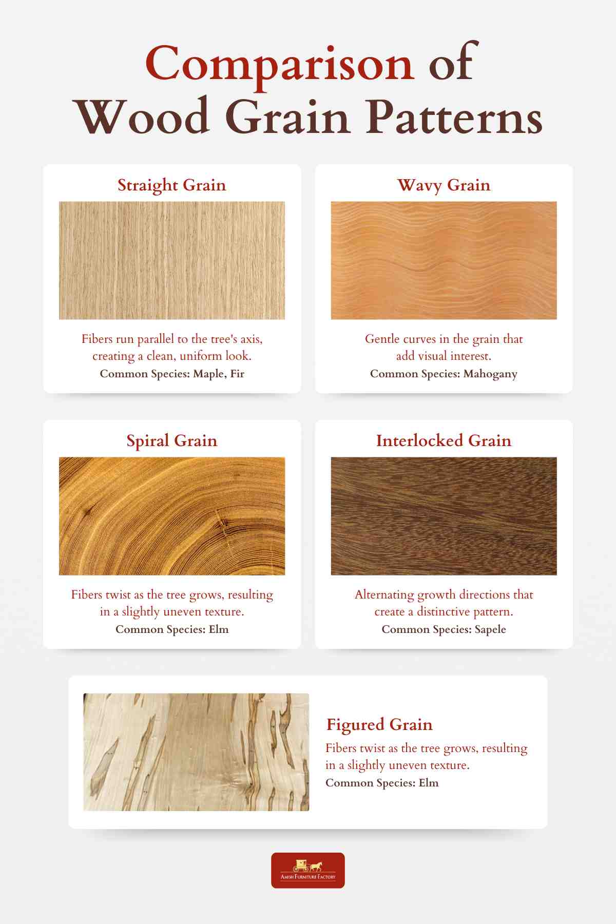 How to Identify Wood Using Color, Grain, and Smell for Accurate Identification