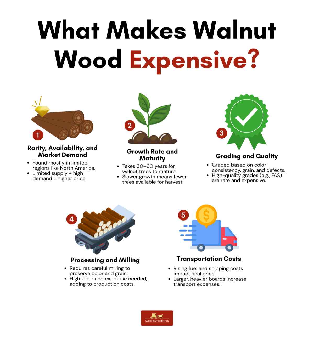 Is Walnut Wood Expensive, and Is It Worth the Price?